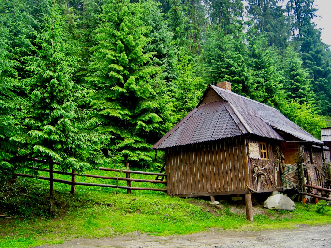 Murzasichle – idealne miejsce na rodzinne wakacje pod Tatrami ...